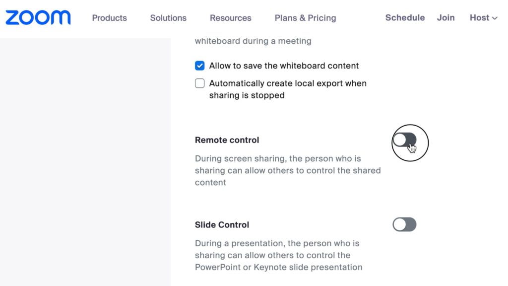 How to Use Remote Control on Zoom? Full guide in 2025