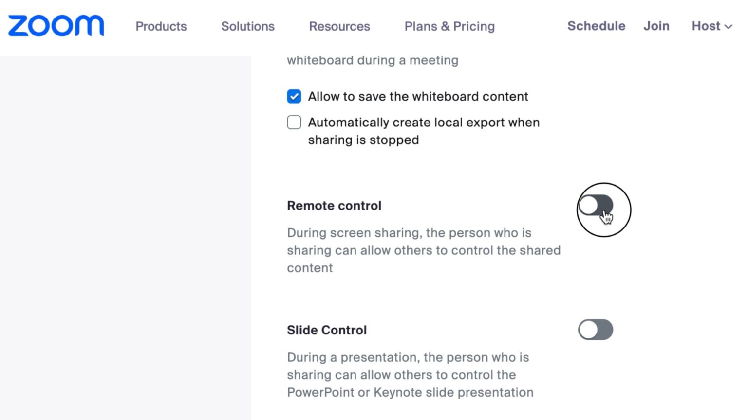 How to Use Remote Control on Zoom? Full guide in 2025
