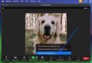 Zoom Screen Sharing Not Working? 7 Proven Solutions for 2025